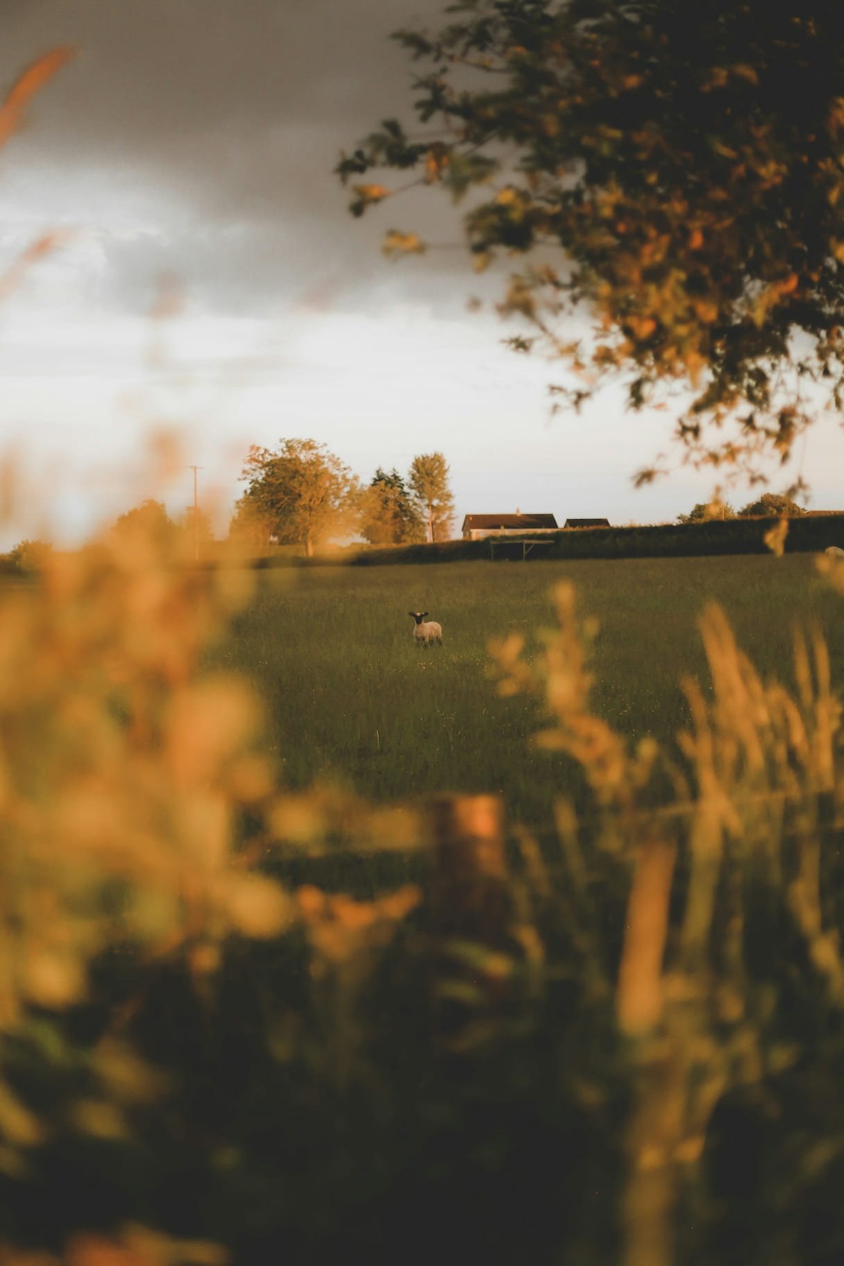 Refectory (Dejbox) | Le 1er food market en ligne